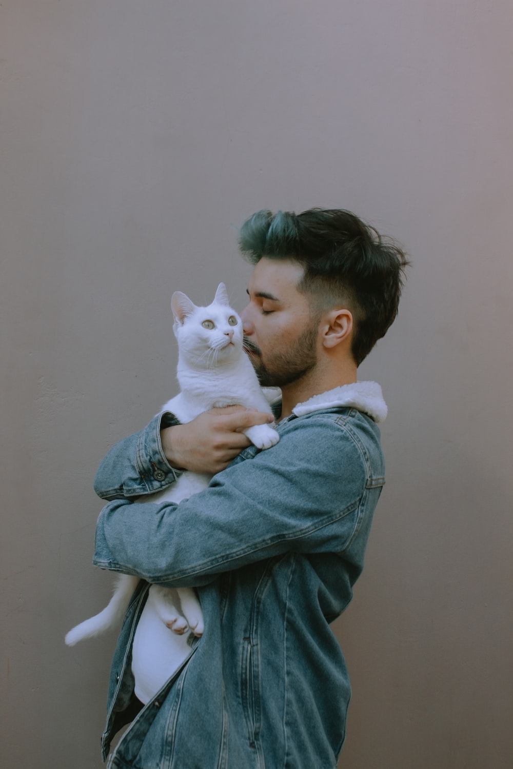 What Does A White Cat Mean Spiritually Spirit Restoration what-does-a-white-cat-mean-spiritually-spirit-restoration